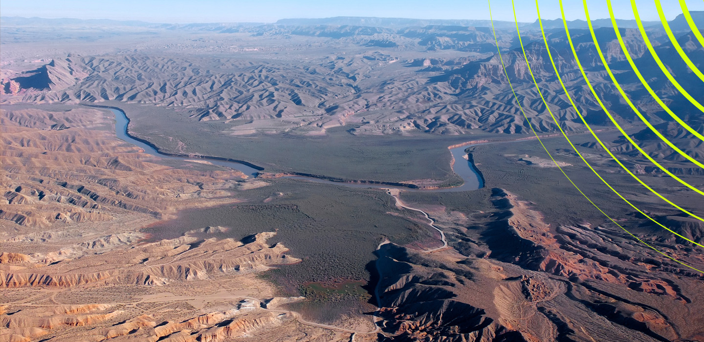 Organization | Sercel